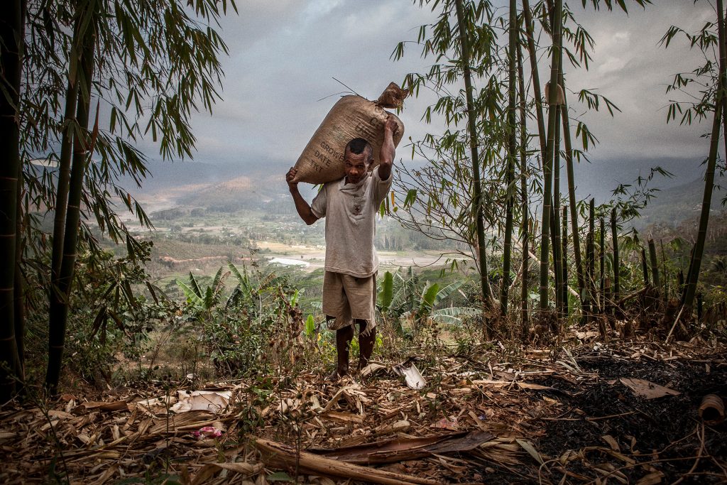 Potential for Timorese coffee despite challenges | macaomagazine.net