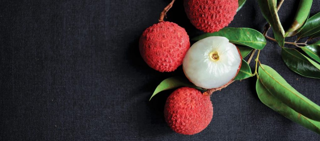 The lychee: a fruitful history – macaomagazine.net