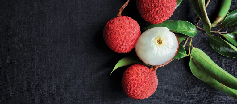 The lychee: a fruitful history – macaomagazine.net